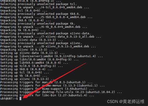 Ubuntu系统安装与配置vnc Server实现远程桌面连接 阿风小子 博客园 Ubuntu系统安装与配置vnc Server实现远程桌面连接 阿风小子 博客园