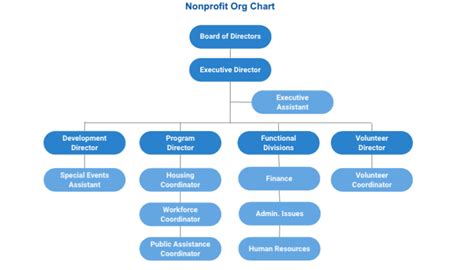Diagram For A Structure For A Non Profit Organization Profit