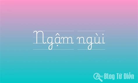 Ng T Ng M Ng I L G T Ng Ngh A Tr I Ngh A T I N Ti Ng Vi T
