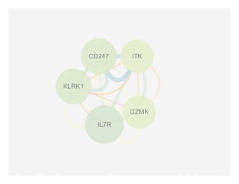 The Protein Protein Interaction Ppi Networks Based On The Screened