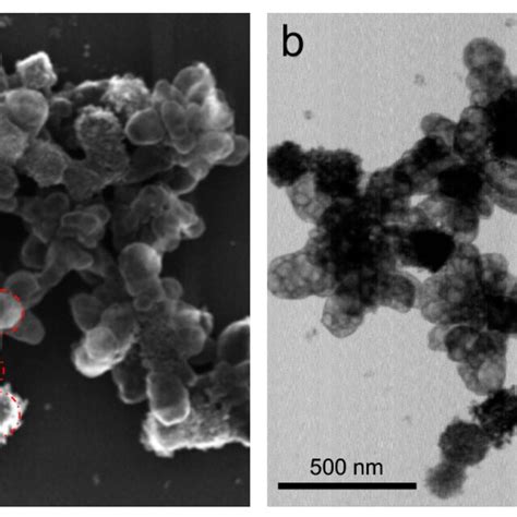 Composition Characterization Of Cuoh2 Nanocages And The Structures Download Scientific