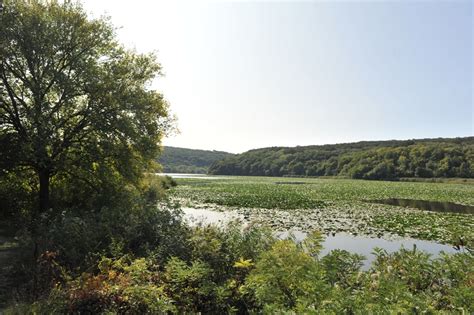 „Царството на водните лилии“ до силистренското село Малък Преславец Списание още за КЪЩАТА