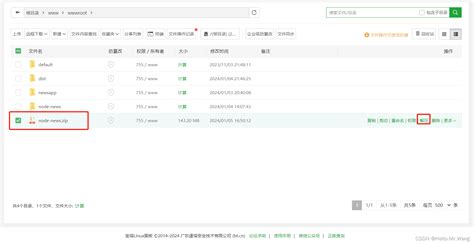 利用宝塔面板进行后端项目上线部署图文宝塔部署nodejs项目 Csdn博客
