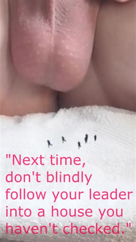 Giant Video 70 ThisVid Com Giant Video 70 ThisVid Com