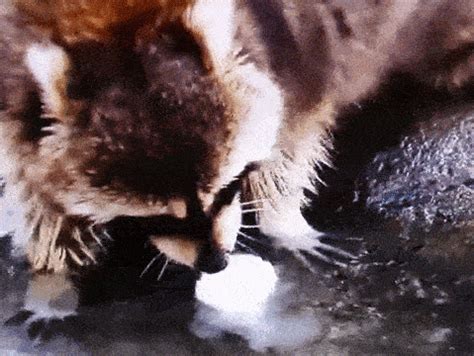 Candy Gif Find Share On Giphy