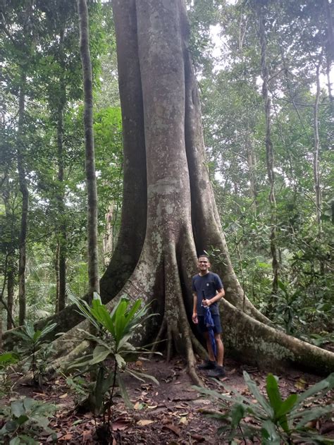 Depth Of Field Dof Added A New Photo Depth Of Field Dof