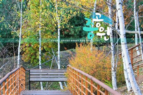 평화의댐 ㅣ 비목공원과 세계평화의 종공원 [ 화천여행 화천 가볼만한곳 ] 네이버 블로그