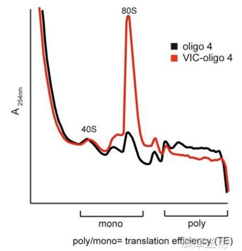 Polysome Profiling技术中翻译效率(te)的不同表征方法 公司新闻 广州卿泽生物科技有限公司 Polysome Profiling技术中翻译效率(te)的不同表征方法 公司新闻 广州卿泽生物科技有限公司