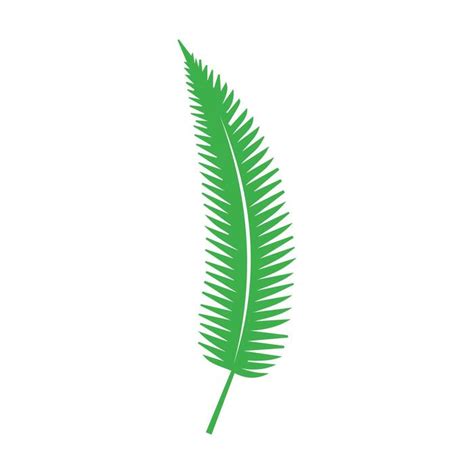 Fern Leaf Logo Vector Art Icons And Graphics For Free Download