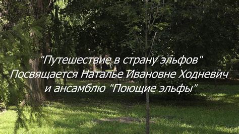 Путешествие в страну эльфов - любительский клип - YouTube