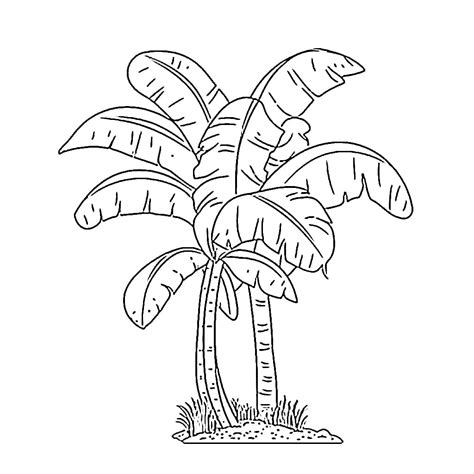 Dua Pohon Pisang