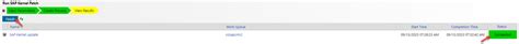 Automate Sap Kernel Update With It Conductor