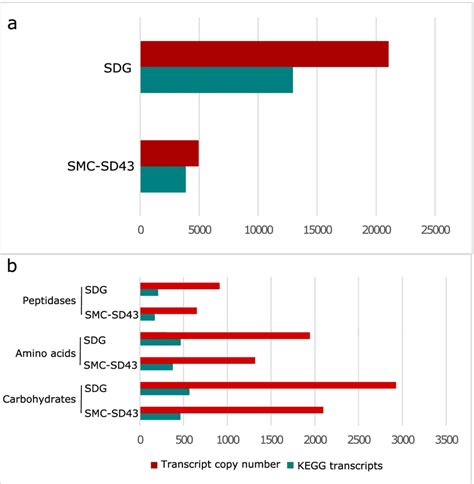Comparison Of Kegg Transcripts And Copy Numbers Between Sdg And
