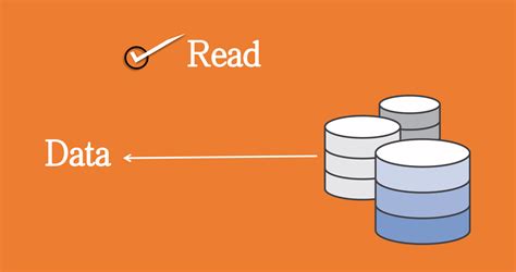 Read Data From Database MySQL PHP NATIVE Dizzy Coding