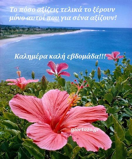 Καλημέρα καλή εβδομάδα όμορφη Δευτέρα σε όλες και όλους 😗🌻☀️🇬🇷
