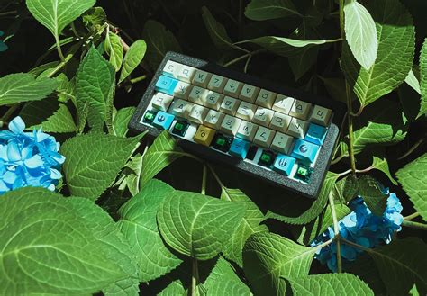 Us Ma H Qaz Keyboard W Paypal Rmechmarket