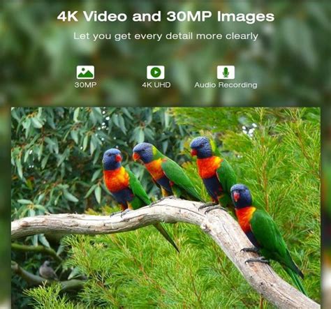 Фотоловушка Suntek HC 810 LTE-PRO-Live-4K (36Mp, Облако, Онлайн-видео ...