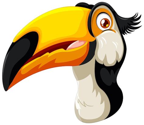 Toucan Face Images Free Download On Freepik