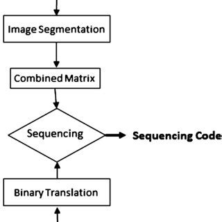 The Flowchart Of The Proposed Combination Theory Based Scheme Download Scientific Diagram