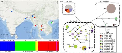 A Bayesian Analysis Of Population Structure Baps Of Elds Deer