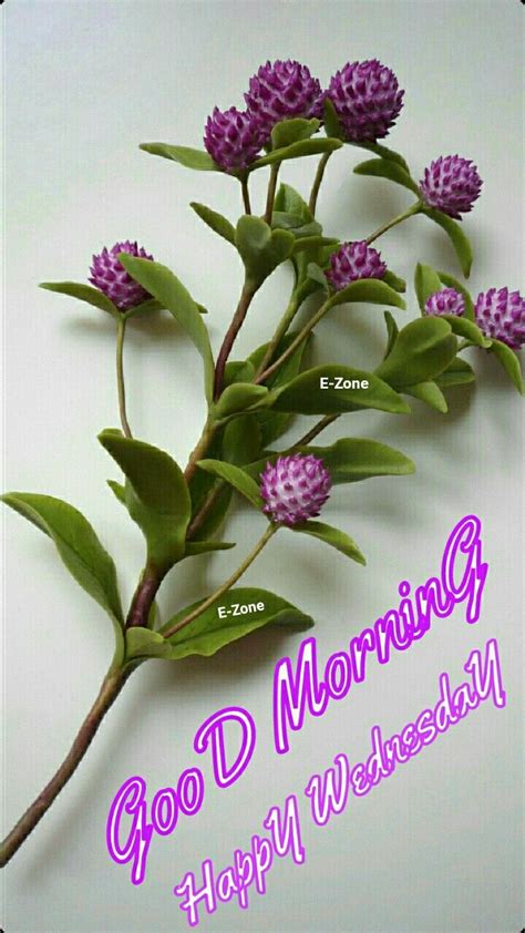 Good Morning Happy Wednesday