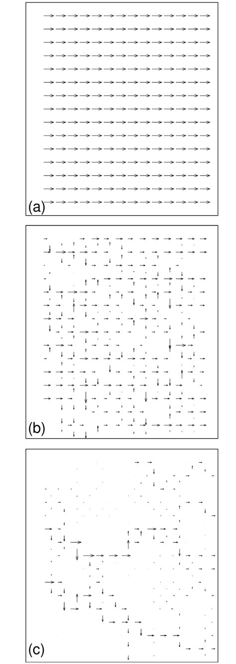 Calculated Bond Currents For A Two Dimensional Bond Percolation Model Download Scientific