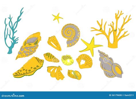 Collection Of Colorful Sea Shells Stars Stock Illustration