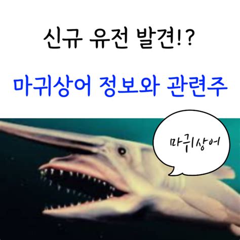 마귀상어 관련주 주식 대왕고래 프로젝트 추가 소식 네이버 블로그