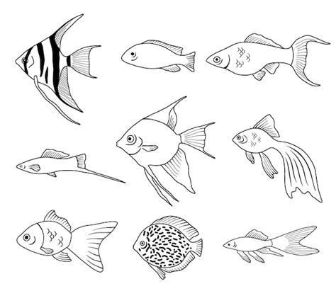 Conjunto De Peixes De Página De Livro Para Colorir Coleção De Peixes