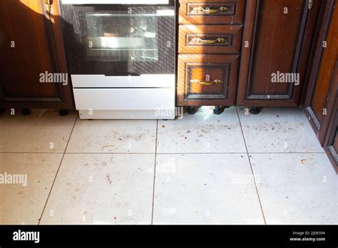 Dirty Kitchen Floor Tiles Design At Audra Kato Blog