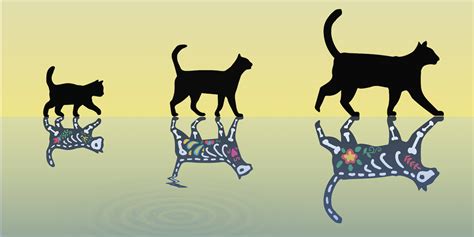 Worlds Heaviest Schrödingers Cat Made In Quantum Crystal Visible To
