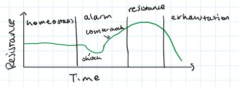Psych Diagram Quizlet