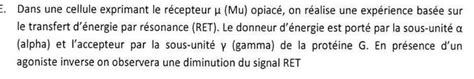 QCM UE Initiation à la Connaissance du Médicament Tutorat Associatif Toulousain