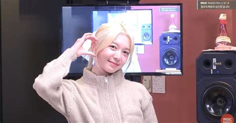 정희 드림캐쳐 다미 세계관 습득 빨라 책 읽듯이 정독