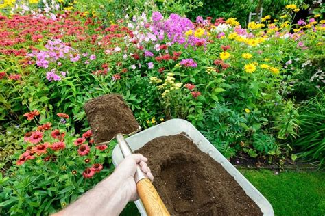 How To Use Compost Accelerator For Faster Composting