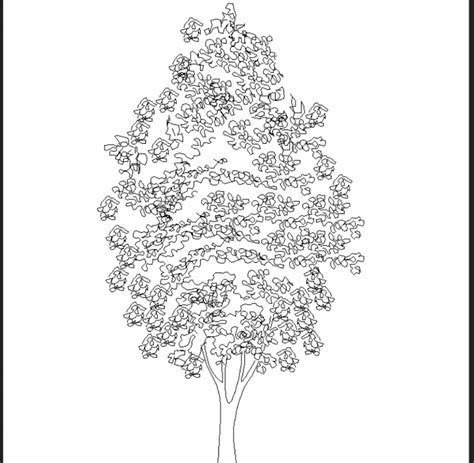 The Tree Plan Detail Dwg File