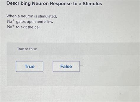 Solved Describing Neuron Response To A Stimuluswhen A Neuron