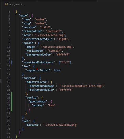Firebase API Key Not Found Check That Google Android Geo API KEY Error In Expo