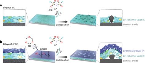 Schematic Diagram Of The Structural Evolution Of Single Layer And