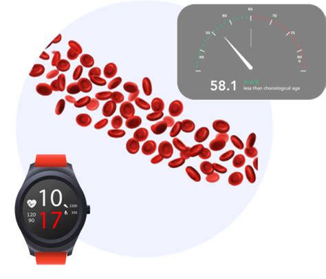 Longevity Biomarker Monthly Plan My Aging Tests