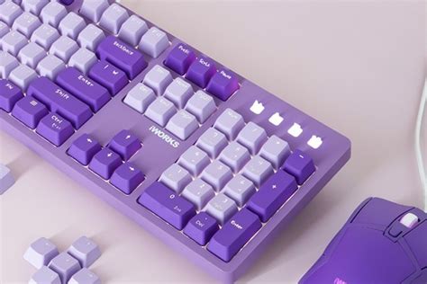 마이크로닉스 유선 키보드 마우스 세트 아이웍스 에디션 적축 퍼플 키스킨 증정 위시버킷