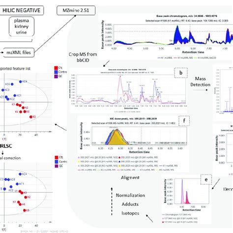 Graphical Description Of Data Pre Processing Workflow The Low And High Download Scientific