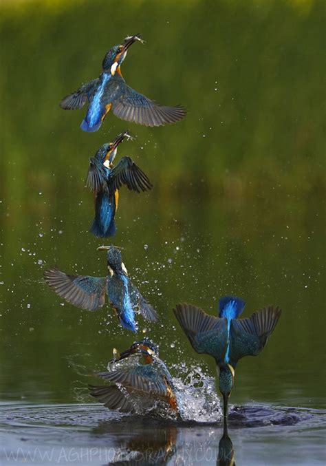 28 amazing examples of action sequence photography hdpixels