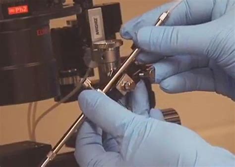 Biochemistry University Of Toronto Cell Microinjection Centre