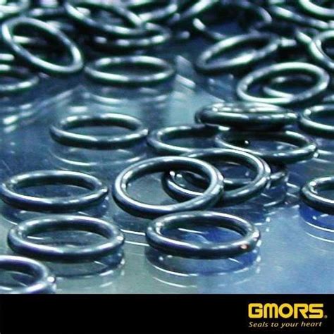 Nace Tm0297 Rapid Gas Decompression Seals At Rs 40piece O Rings In New Delhi Id 2854319788048