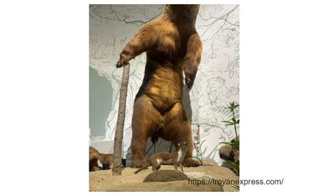 Природонаучен музей Черни Осъм Нови експонати Троян експрес