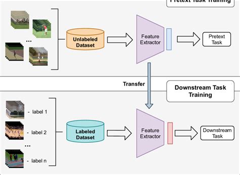 Overview Of A Self Supervised Learning Model For Action Recognition Download Scientific