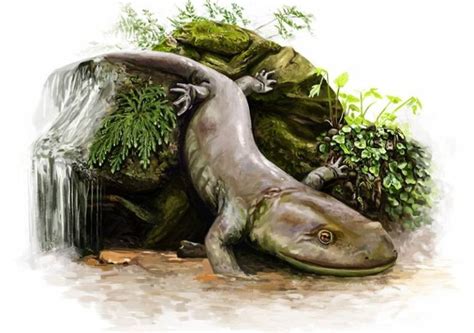 Prehistoric Giant Amphibians