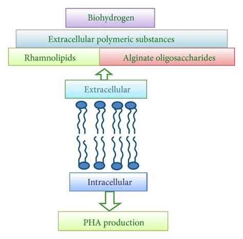 A Diagrammatic Representation Of Simultaneous Production Of