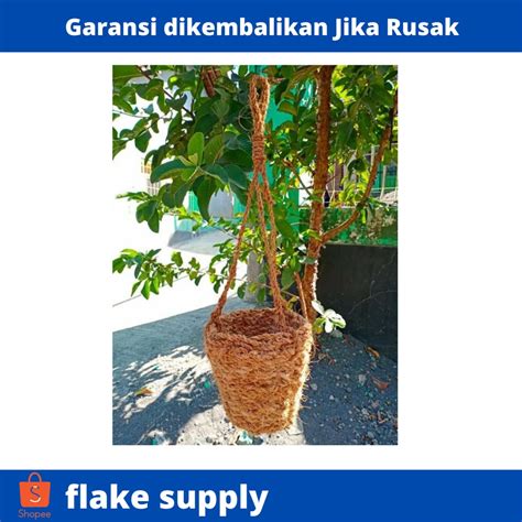 Jual Pot Sabut Kelapa Murah Besar Pot Anggrek Untuk Tanaman Dendrobium